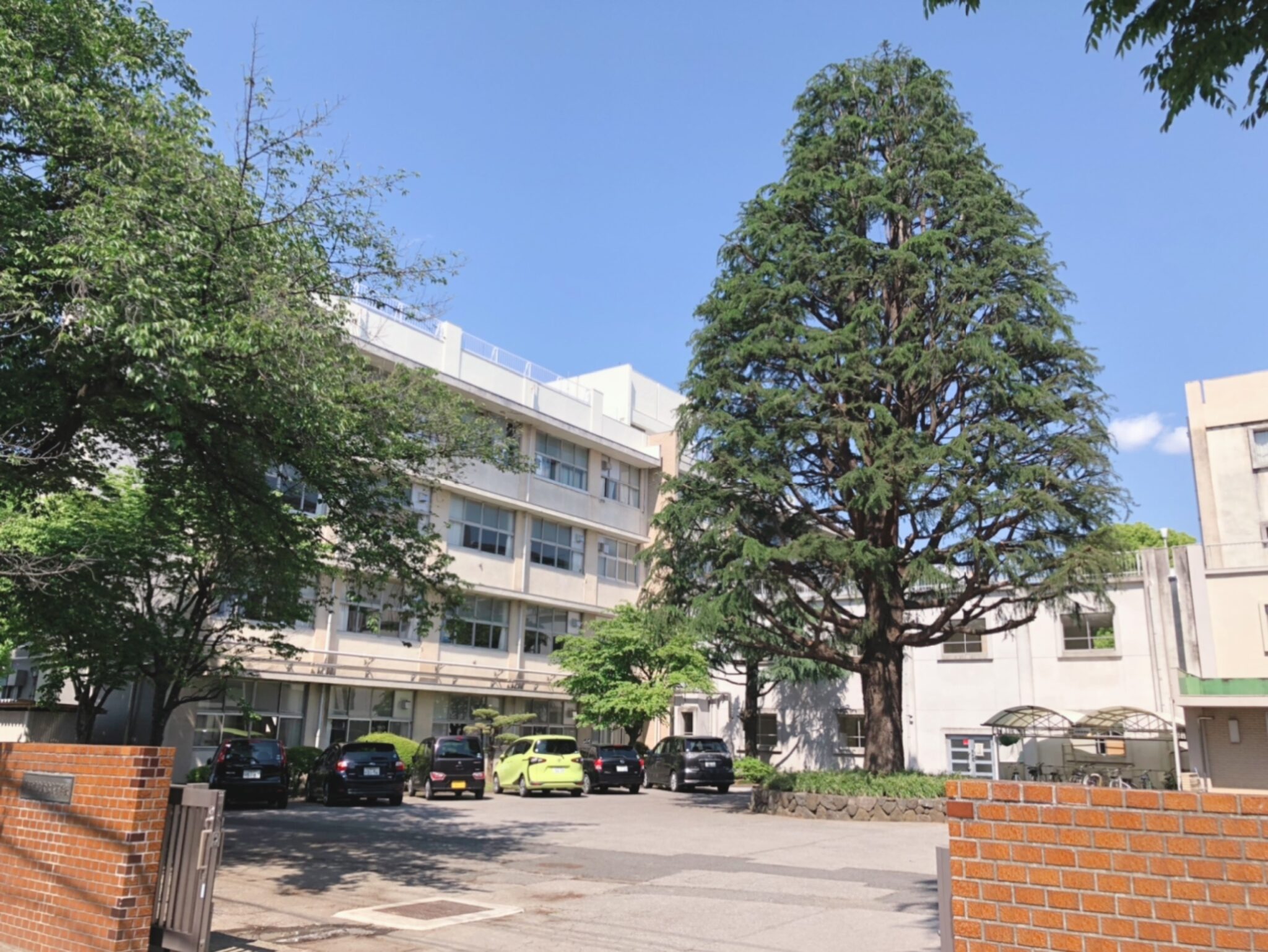 木瀬哲弥の学歴・wiki経歴！ミスター東大の両親や家族構成は？ | noma-blog